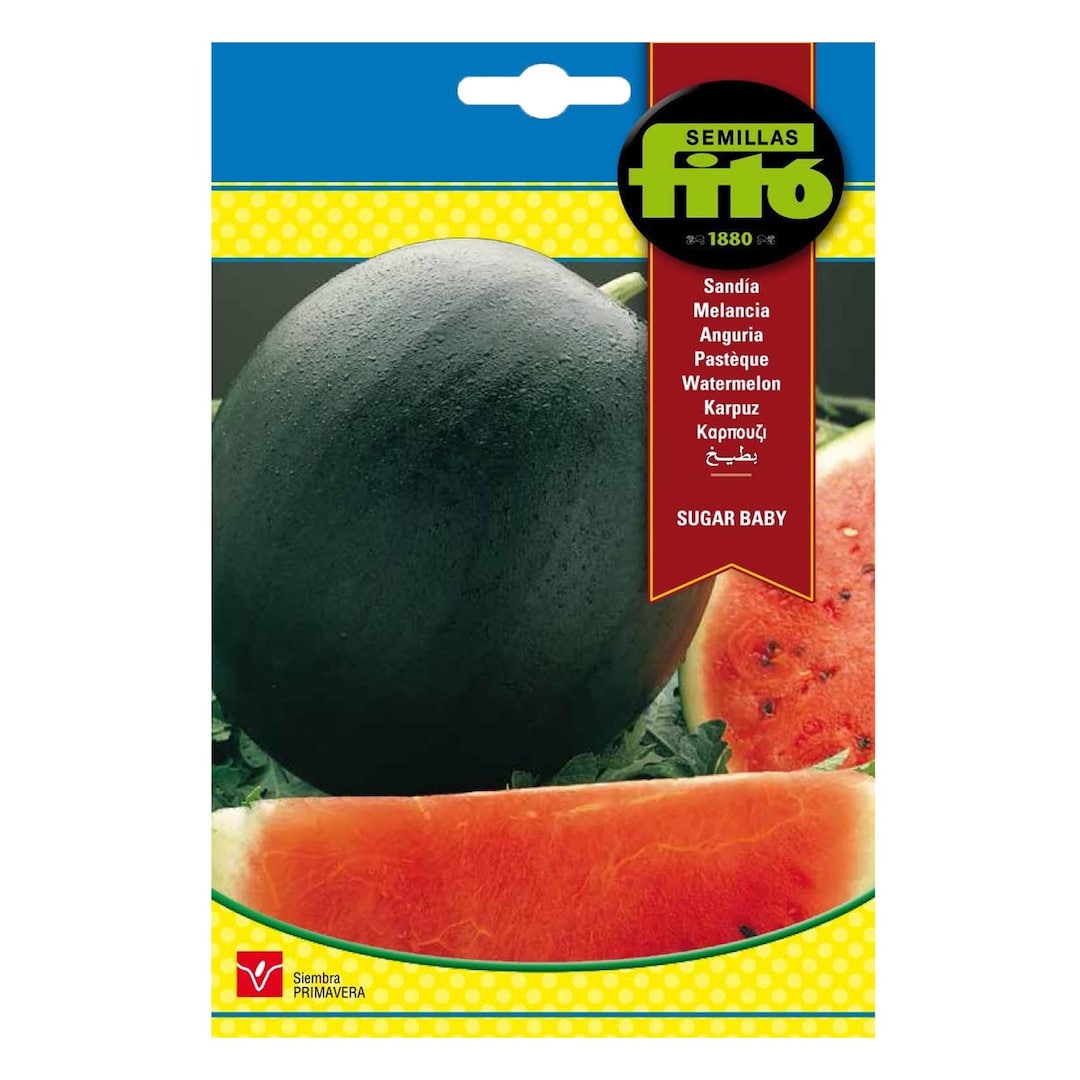 Fito Watermelon Sugar Baby Seeds — Desert Garden for Plants and Flowers