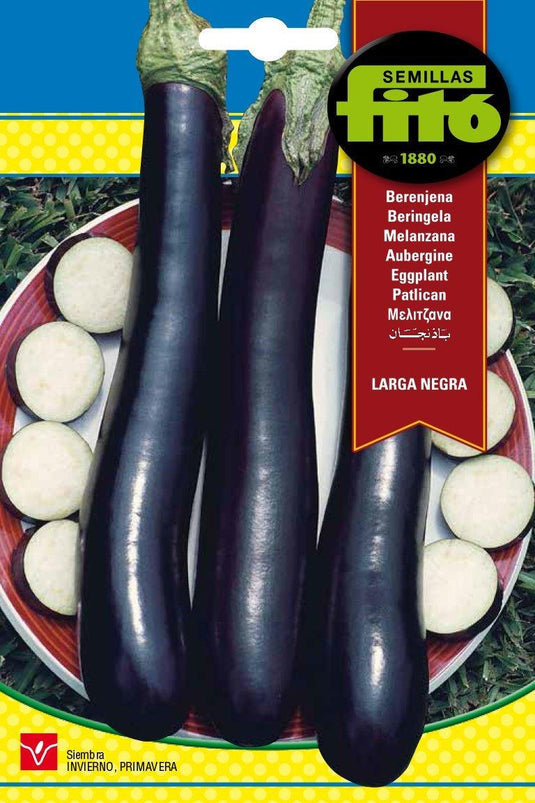 Fito Eggplant Larga Negra — Desert Garden for Plants and Flowers