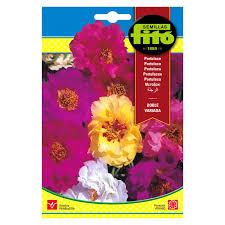 Fito Portulaca single mix — Desert Garden for Plants and Flowers